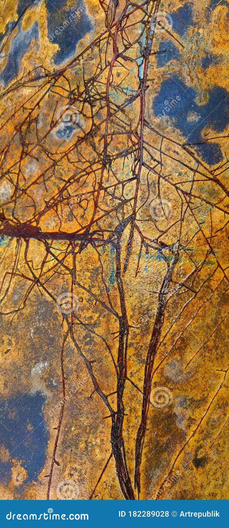 Shed Revealed Beautiful Networks Stock Photos - Free & Royalty-Free ...