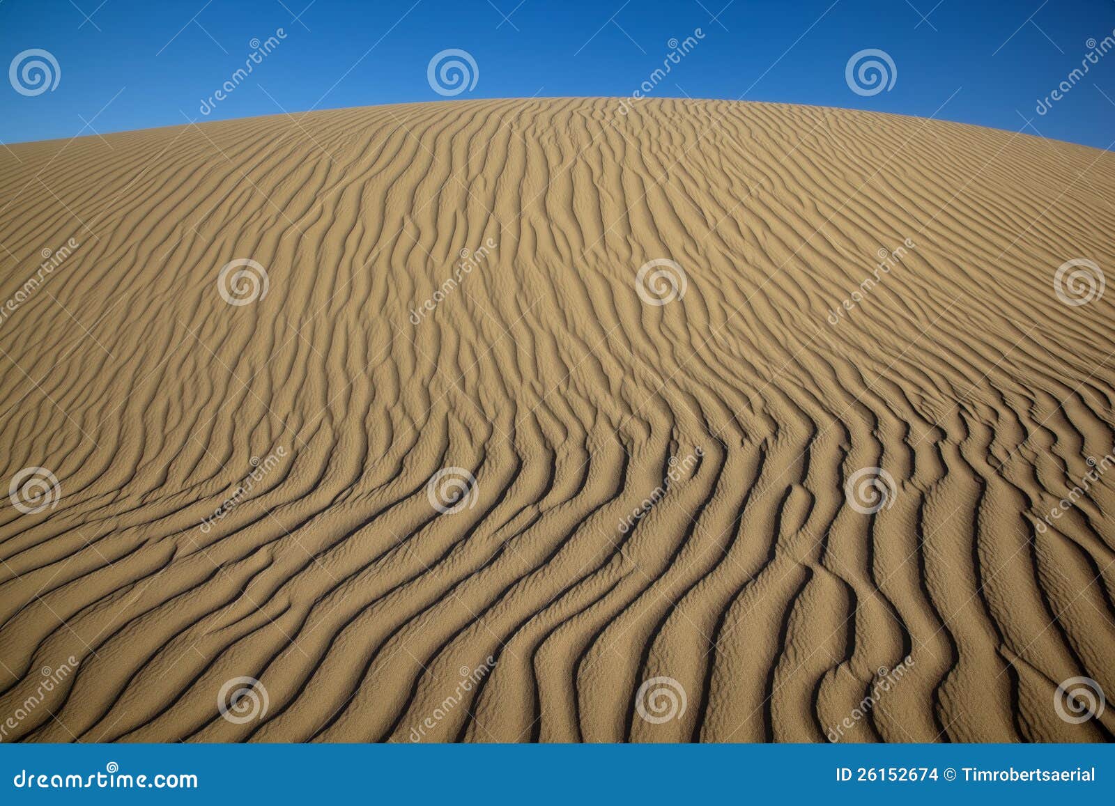 Patterns in the Sand stock photo. Image of dunes, hiking - 26152674