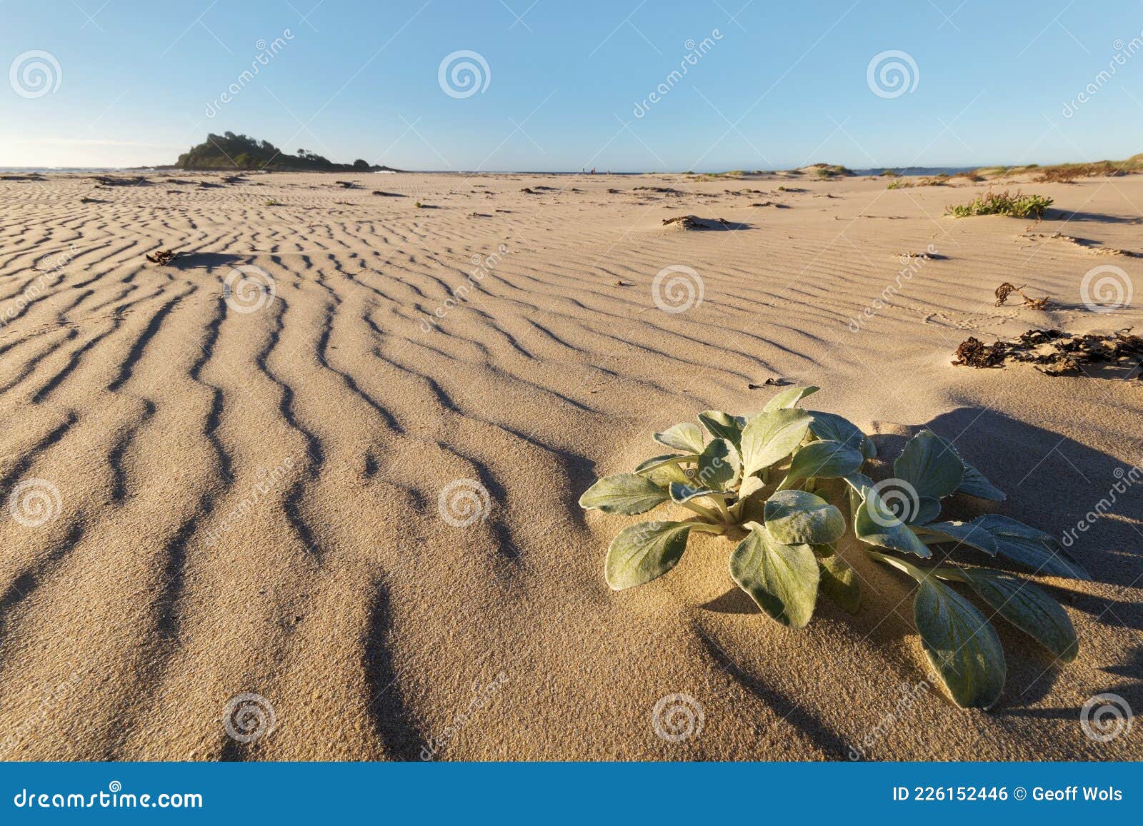 Patterns in the Sand at the Beach on Nsw South Coast of Australia Stock ...