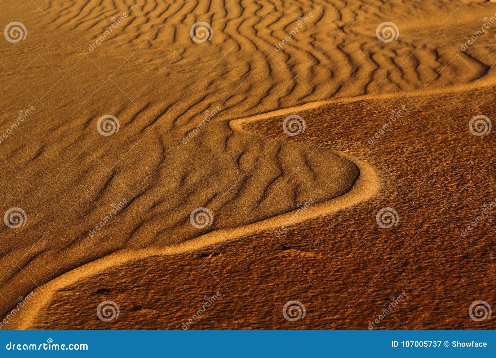 Patterns in sand stock image. Image of sandy, beautiful - 107005737