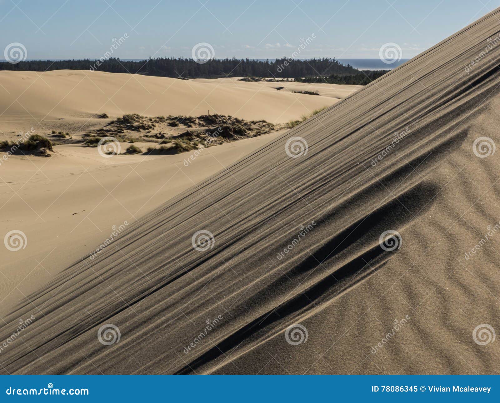 Patterns in Sand Dunes Shaped by Wind Stock Image - Image of patterns ...