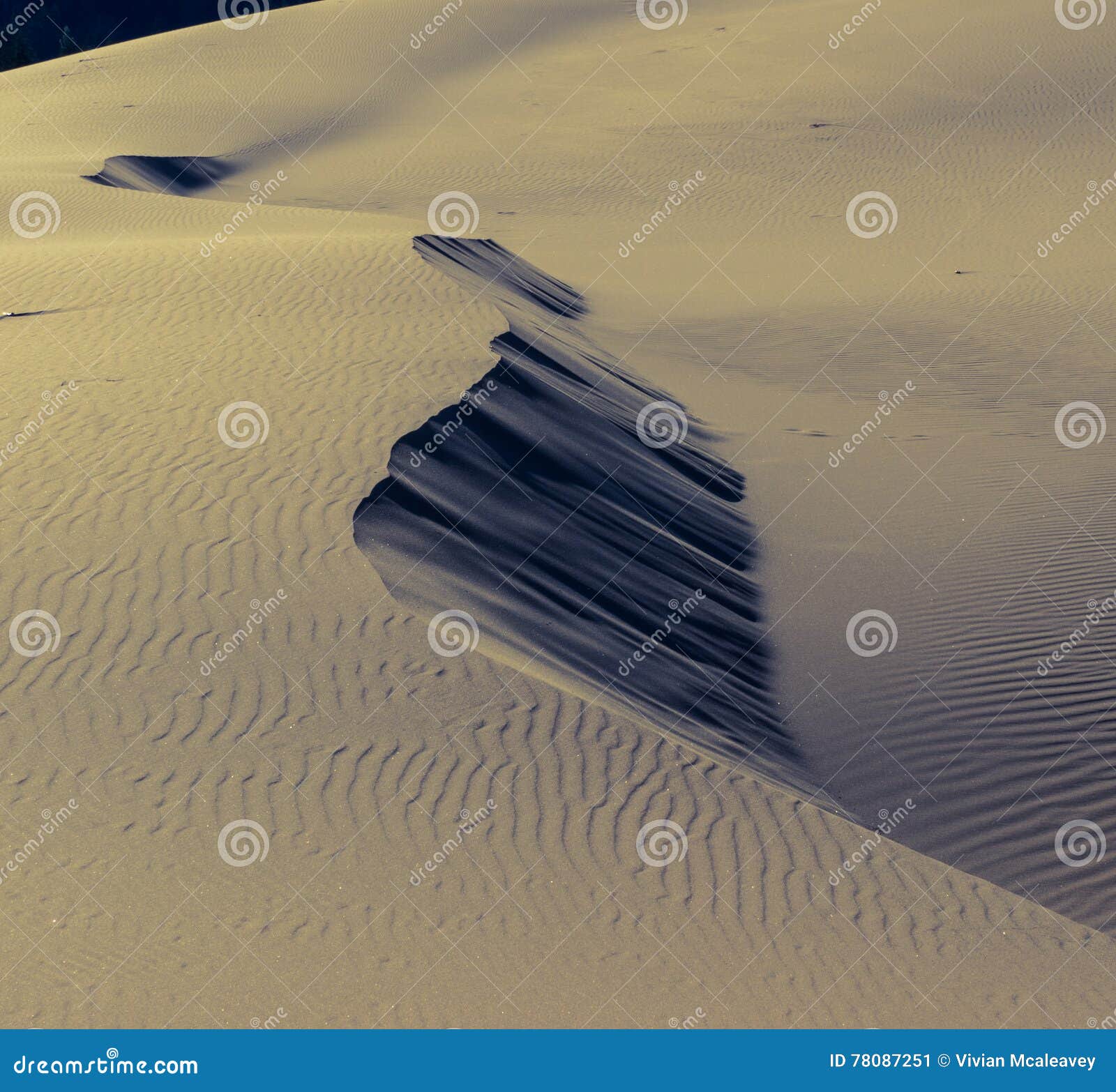 Patterns in Sand Dunes Shaped by Wind Stock Image - Image of pacific ...