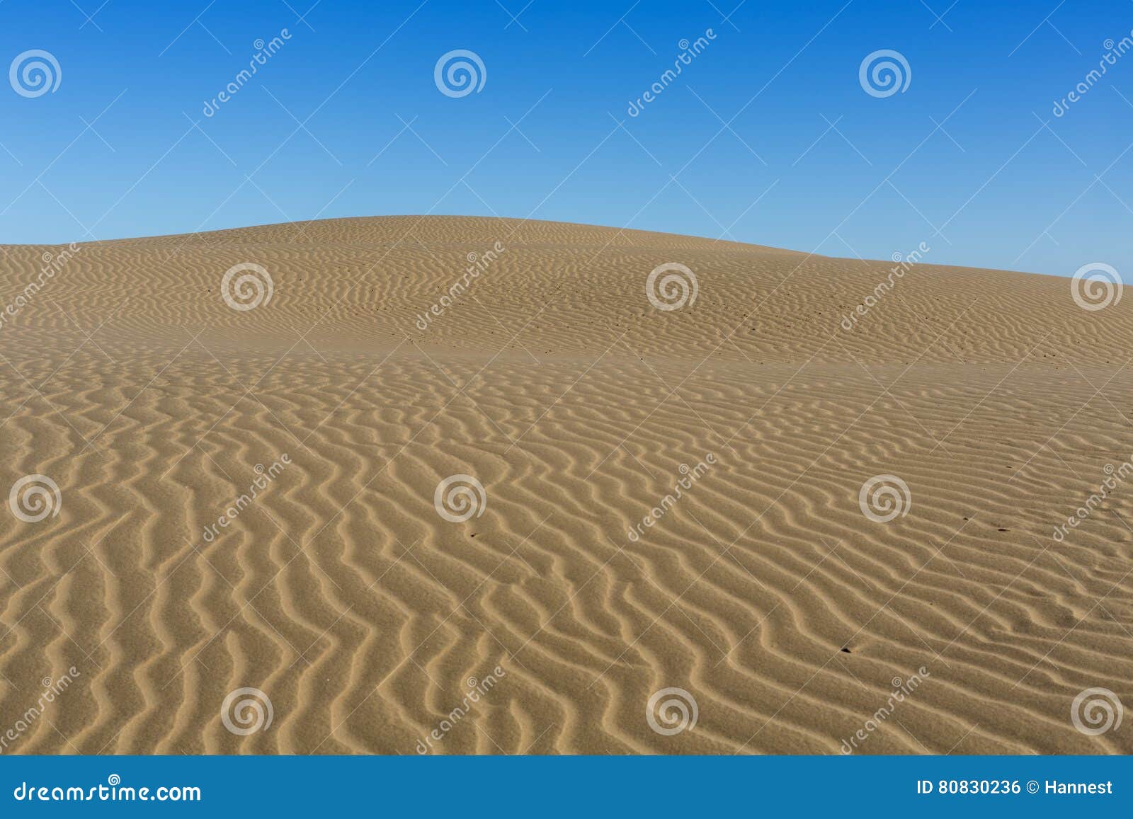Patterns in the sand stock photo. Image of park, namibia - 80830236