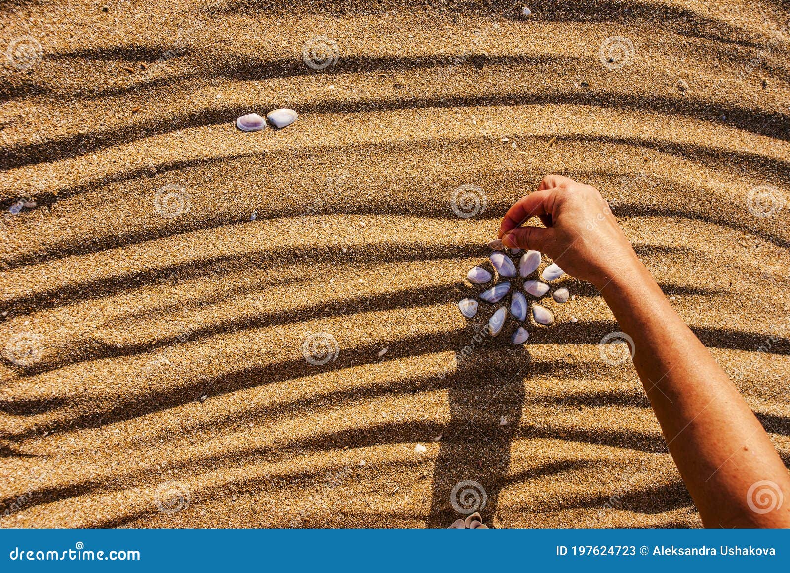 Patterns on Sand with Shells Stock Image - Image of focus, created ...