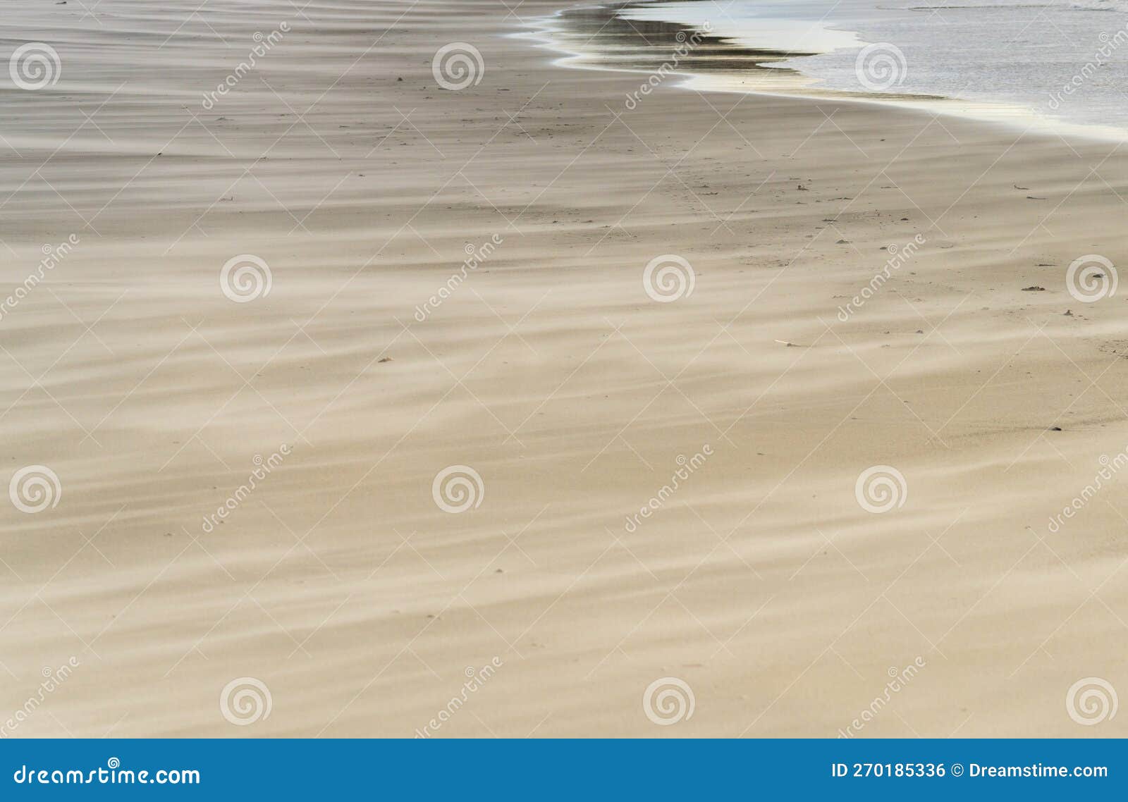 Patterns in the Sand on Windswept Beach on Falkland Islands Stock Photo ...