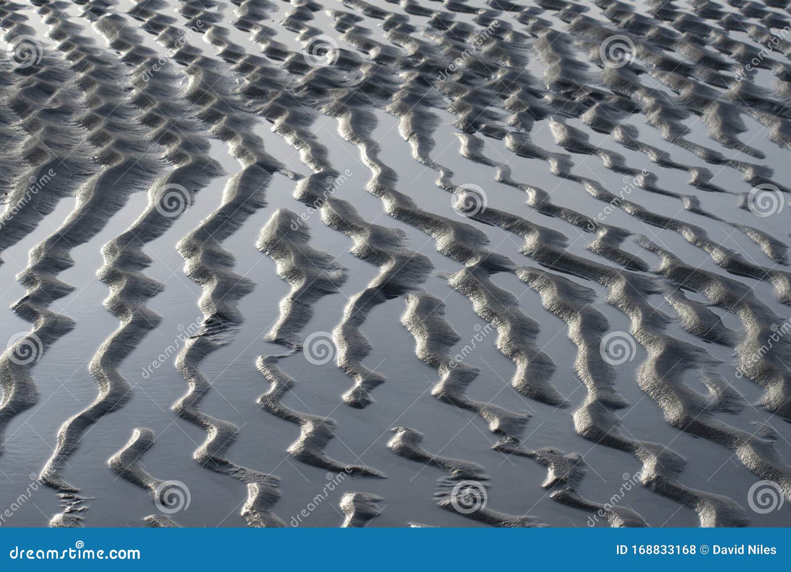 Patterns on a sandy beach stock photo. Image of tide - 168833168