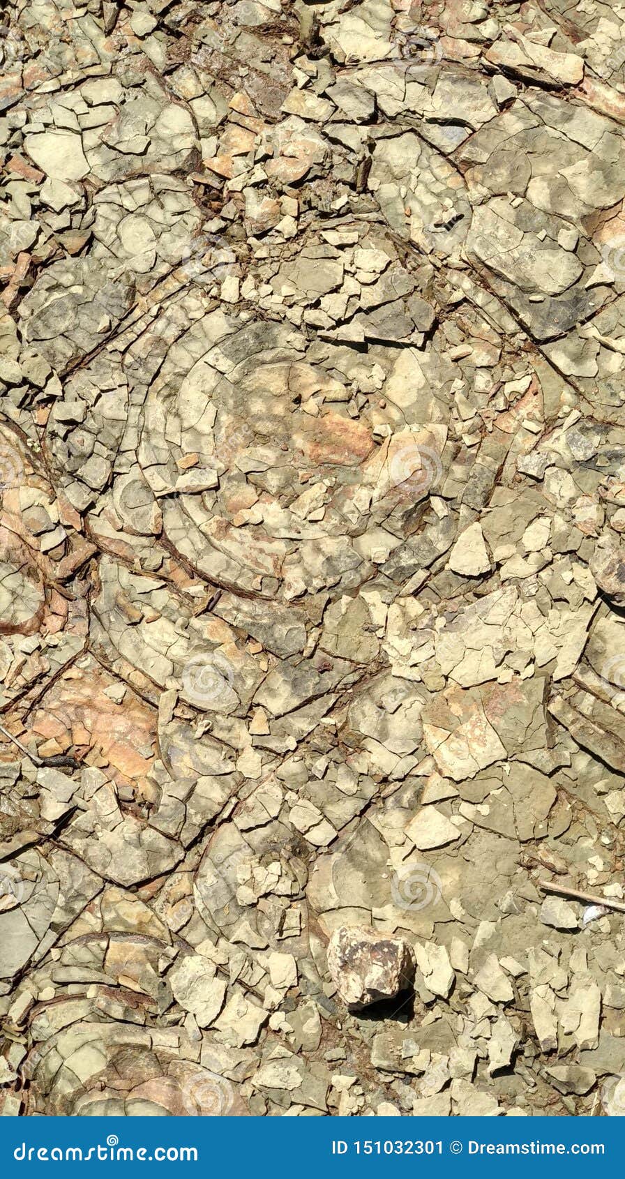 Patterns in Shale stock image. Image of shale, patterns - 151032301