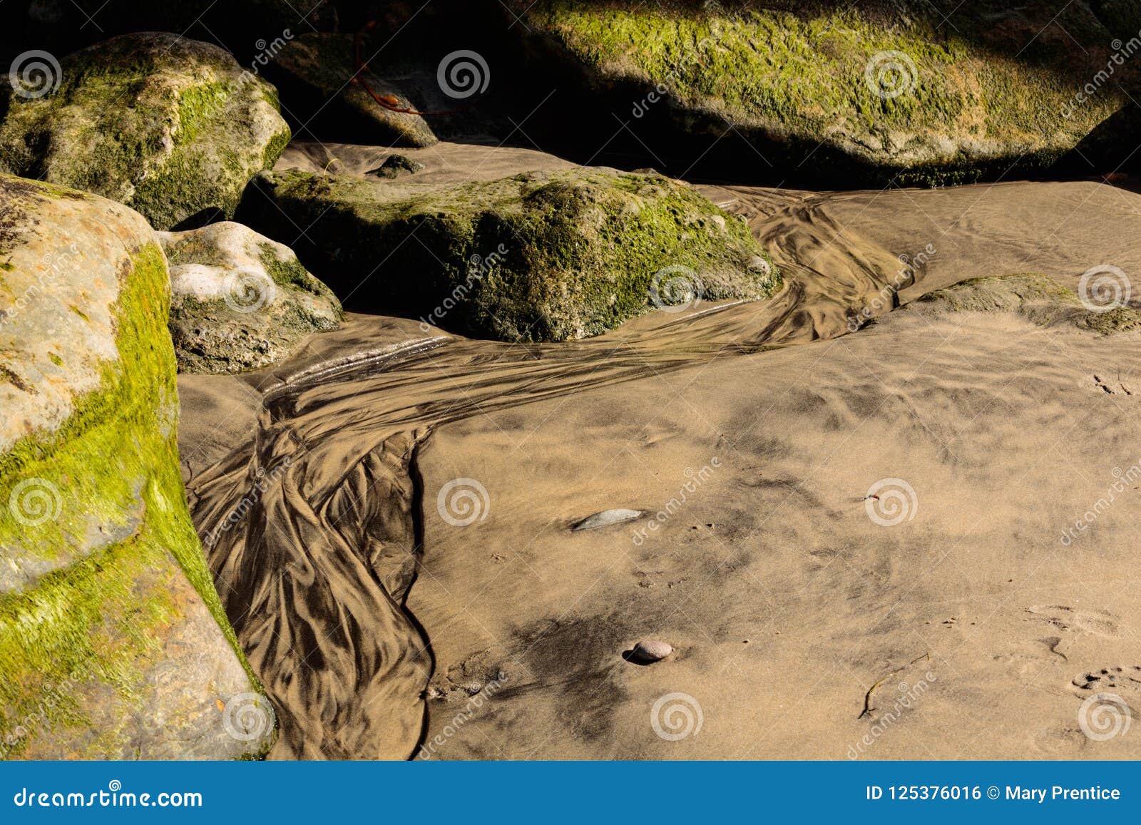 Patterns in Silt Water Black Silt Sand Patterns, Elegant, Complex ...