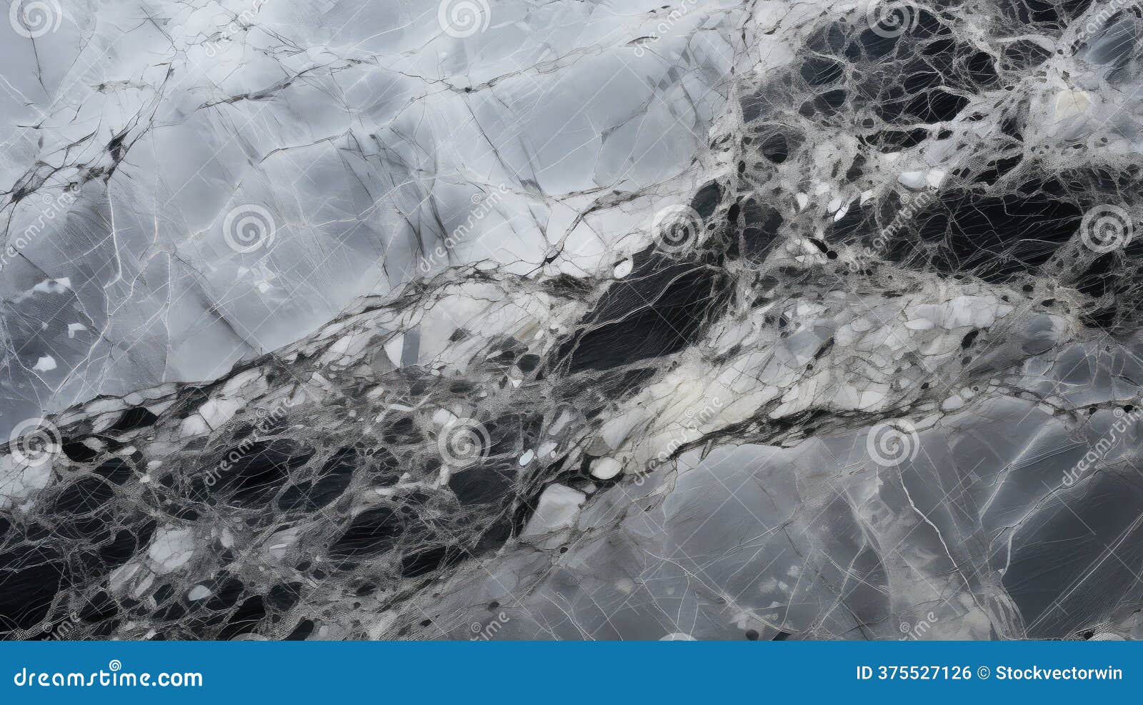 Silver Fox And Marble Fox Vulpes Vulpes Prance By Royalty-Free Stock ...