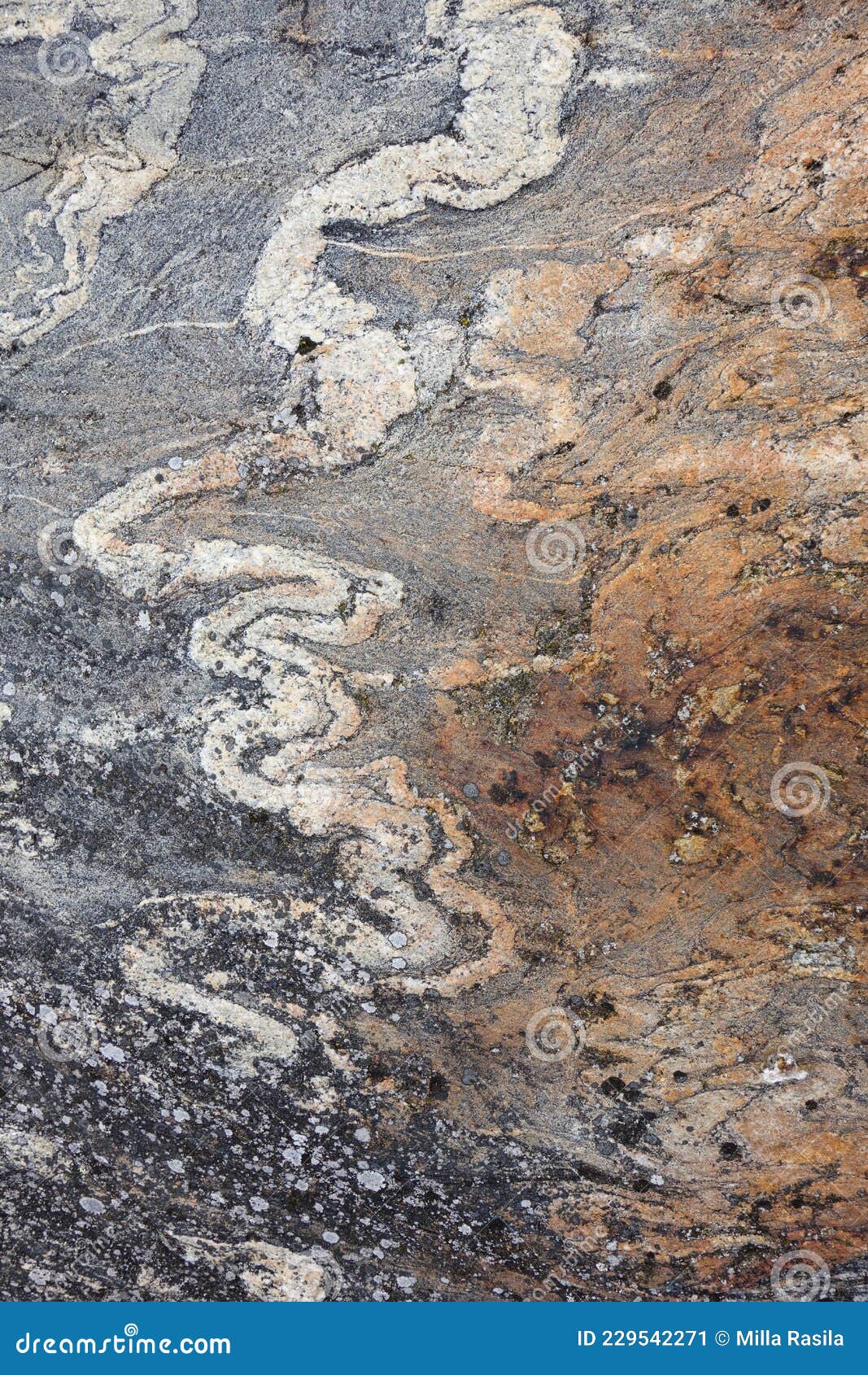 Patterns in a rock stock image. Image of brown, surfaced - 229542271