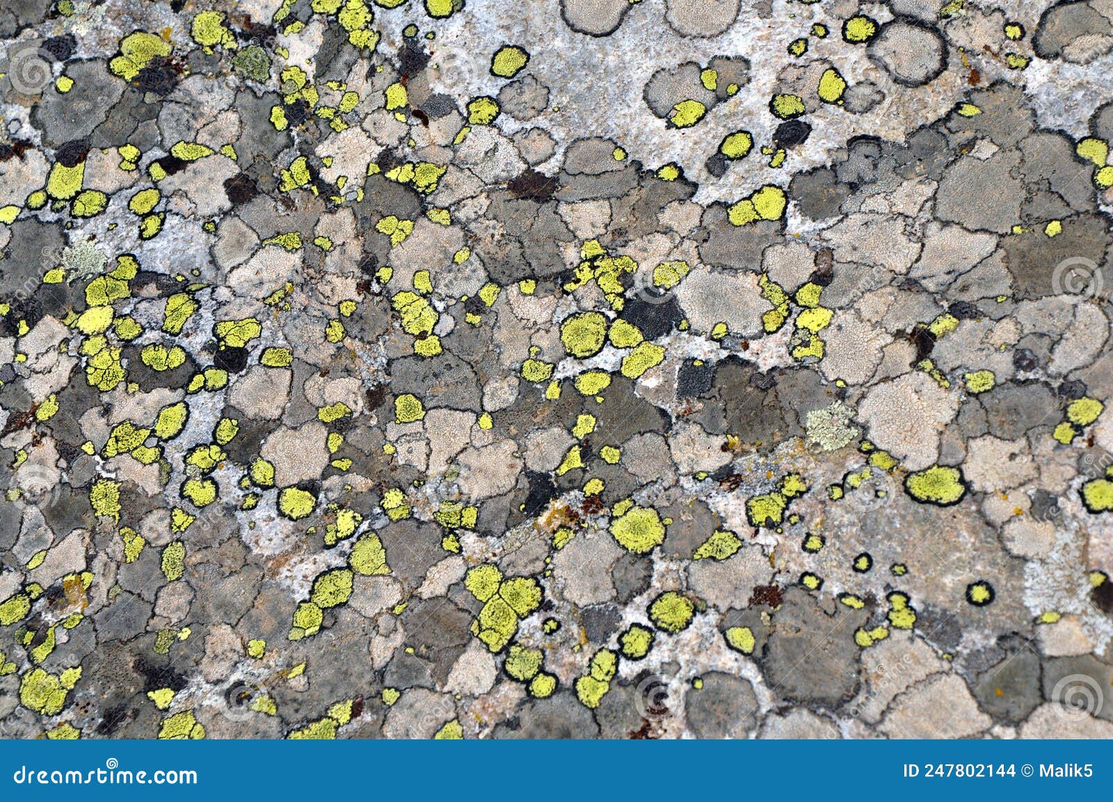 Patterns on Stone, Abstract Background Photographyround Stock Photo ...