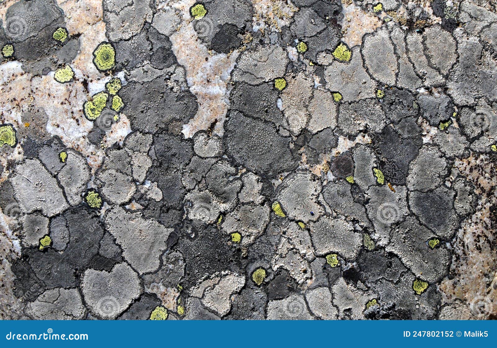 Patterns on Stone, Abstract Background Photographyround Stock Photo ...