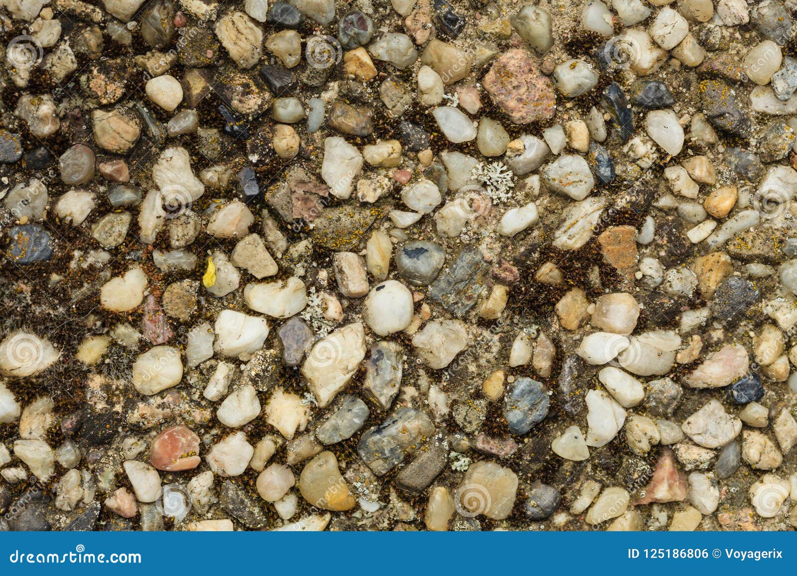 Small, Colorful Rocks and Stones Pattern. Stock Photo - Image of ...