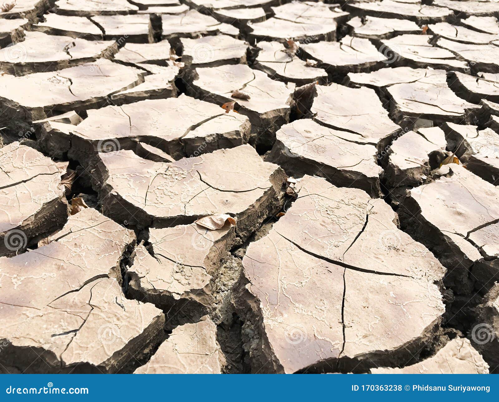 Patterns and Textures Cracked Soil,Drought of the Ground,Ideal for ...