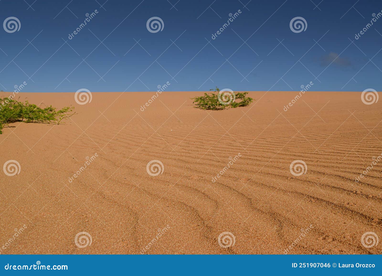 Patterns and Textures of the Dunes in the Desert Stock Photo - Image of ...