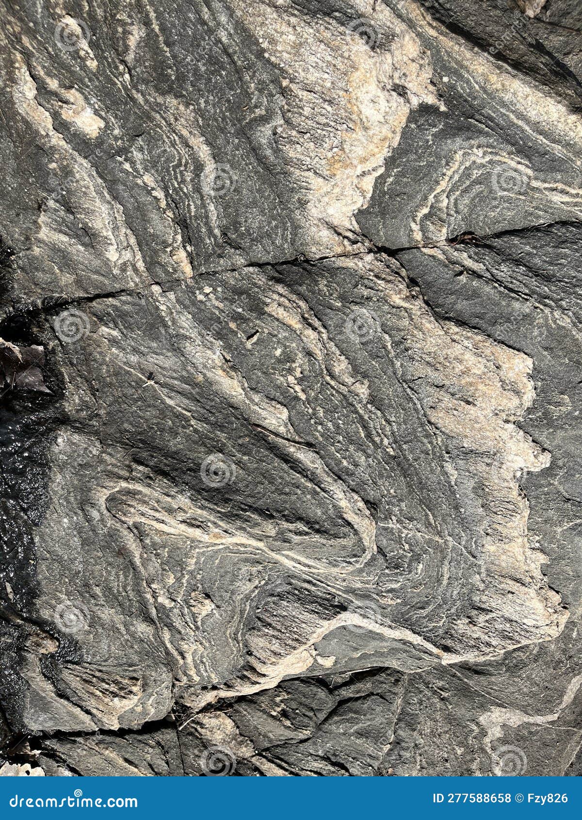 The Patterns and Textures on Huge Rocks Can Be Extremely Complex and ...
