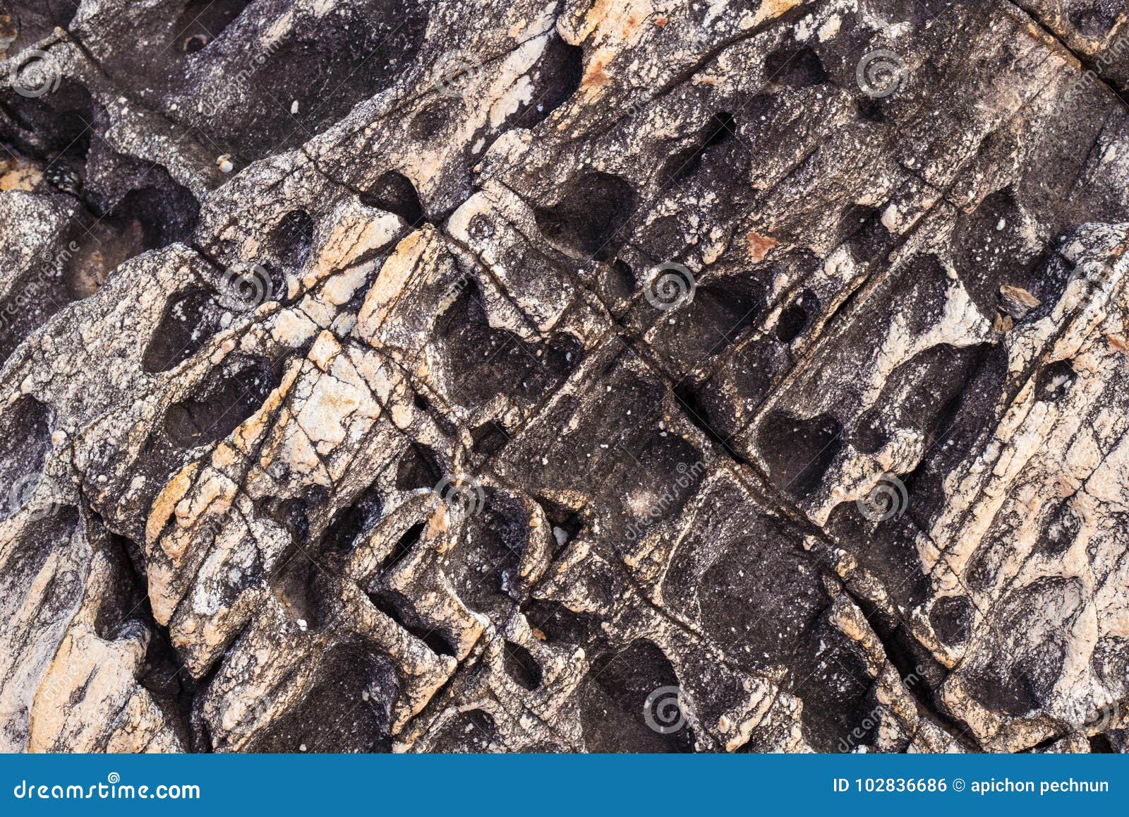 Patterns and Textures of the Old Volcanic Rock on the Beach. Stock ...