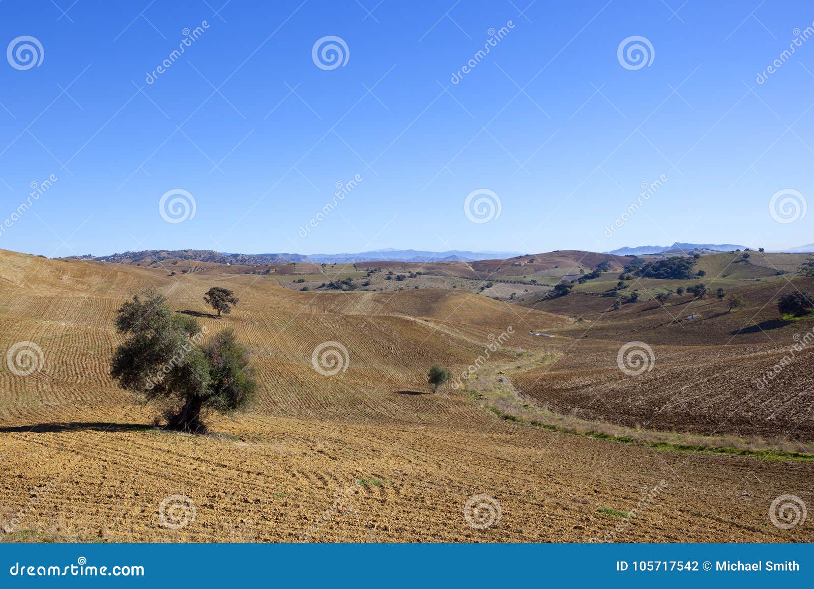 Patterns and Textures of Spanish Arable Fields Stock Photo - Image of ...