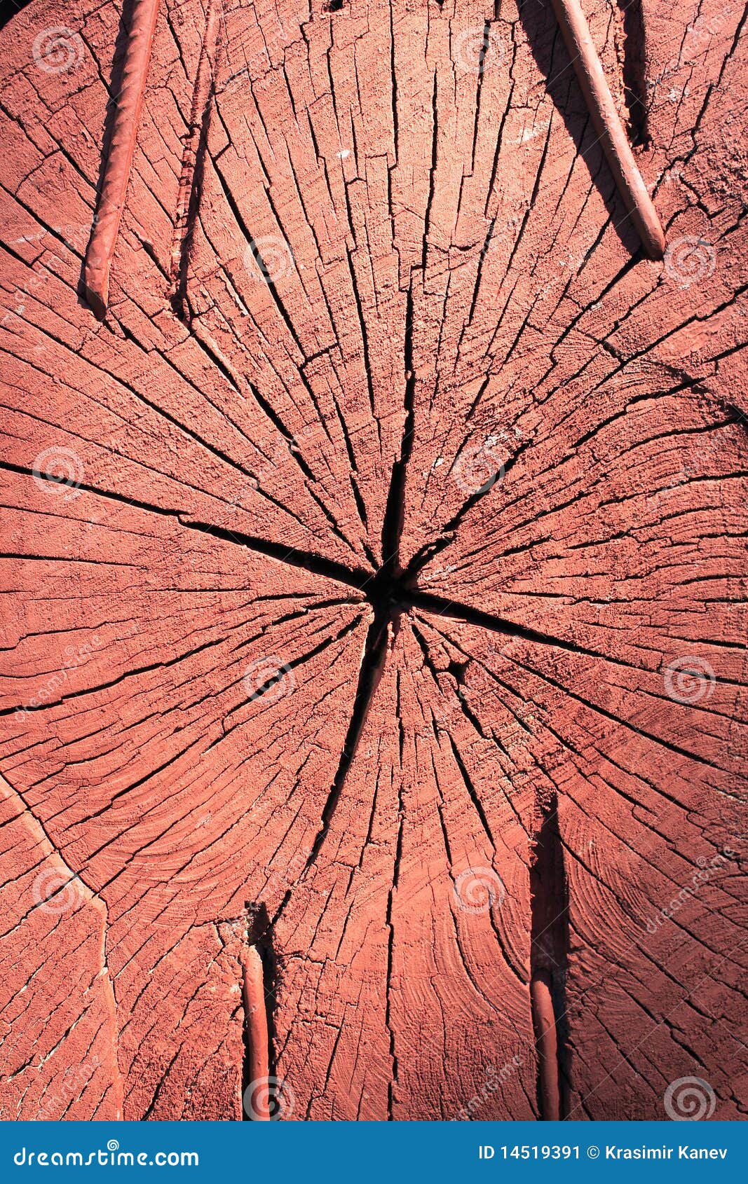 Patterns and Textures of a Wood Slice Stock Image - Image of cross ...