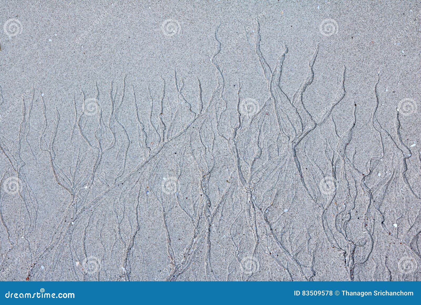 The Patterns of Water Erosion Sand on the Beach. Stock Photo - Image of ...