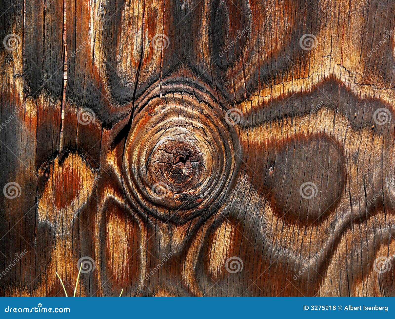 Patterns Of Wood Picture. Image: 3275918