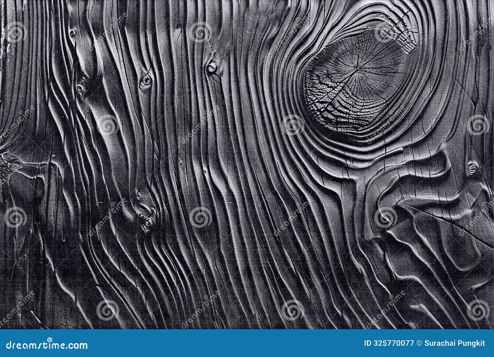Patterns of the Wood Grain . the Black Wood Texture a Striking and ...