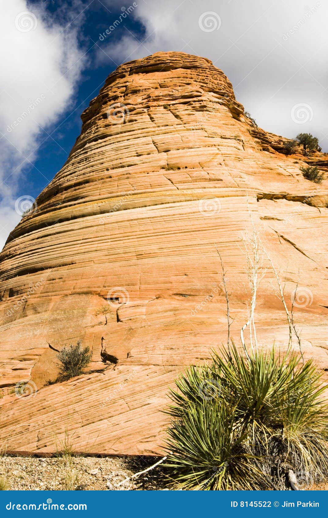 Patterns In Zion Picture. Image: 8145522