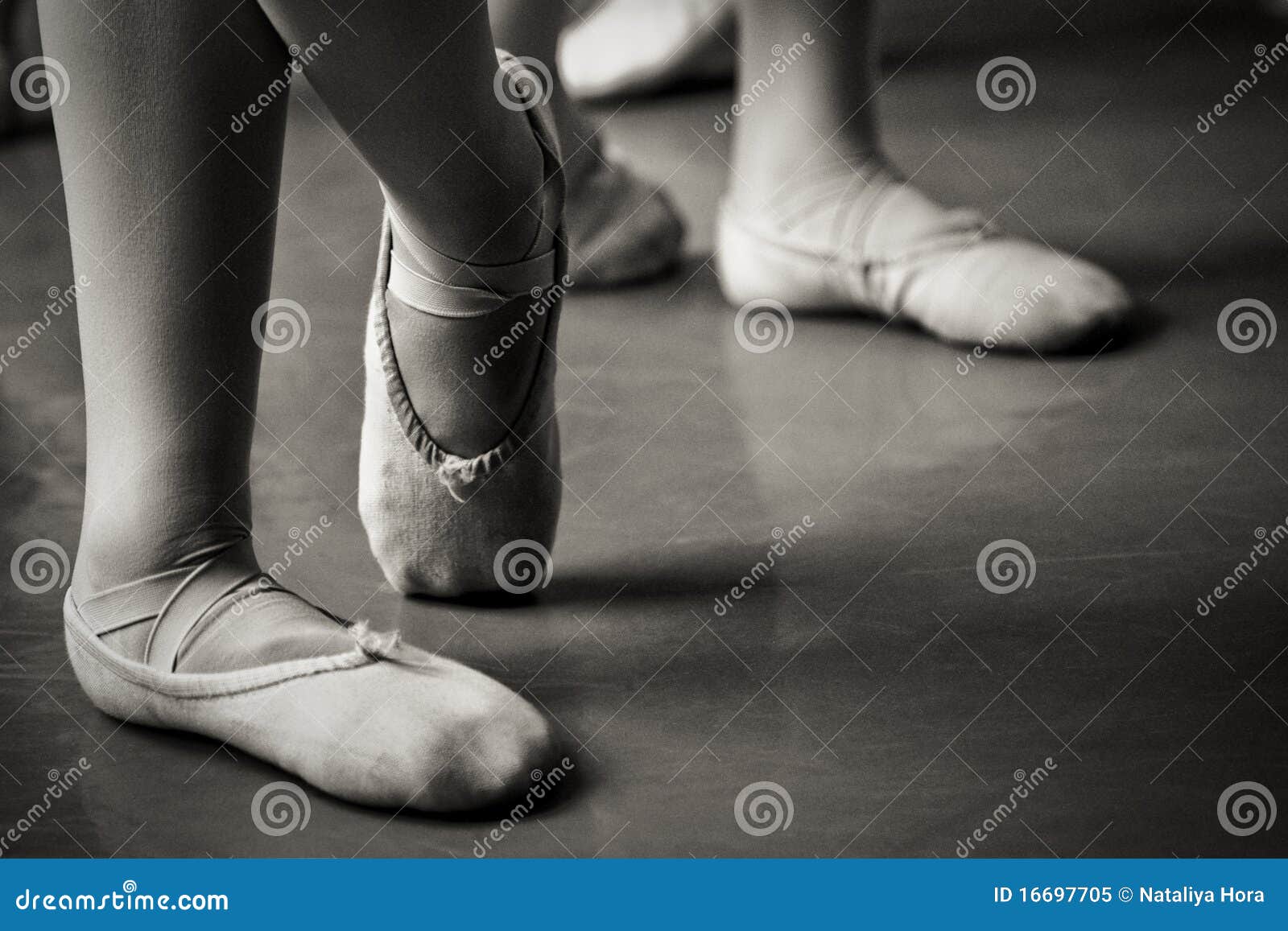 Pattes Dans Des Chaussons De Ballet Image stock - Image du rendement ...