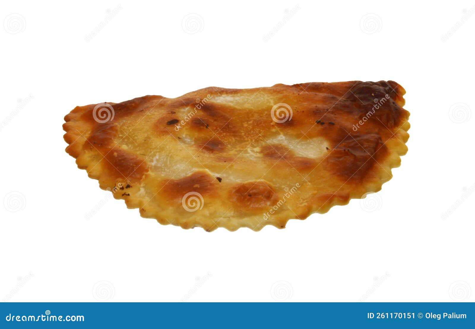 Patty Isolated on White Background Stock Image - Image of healthy ...