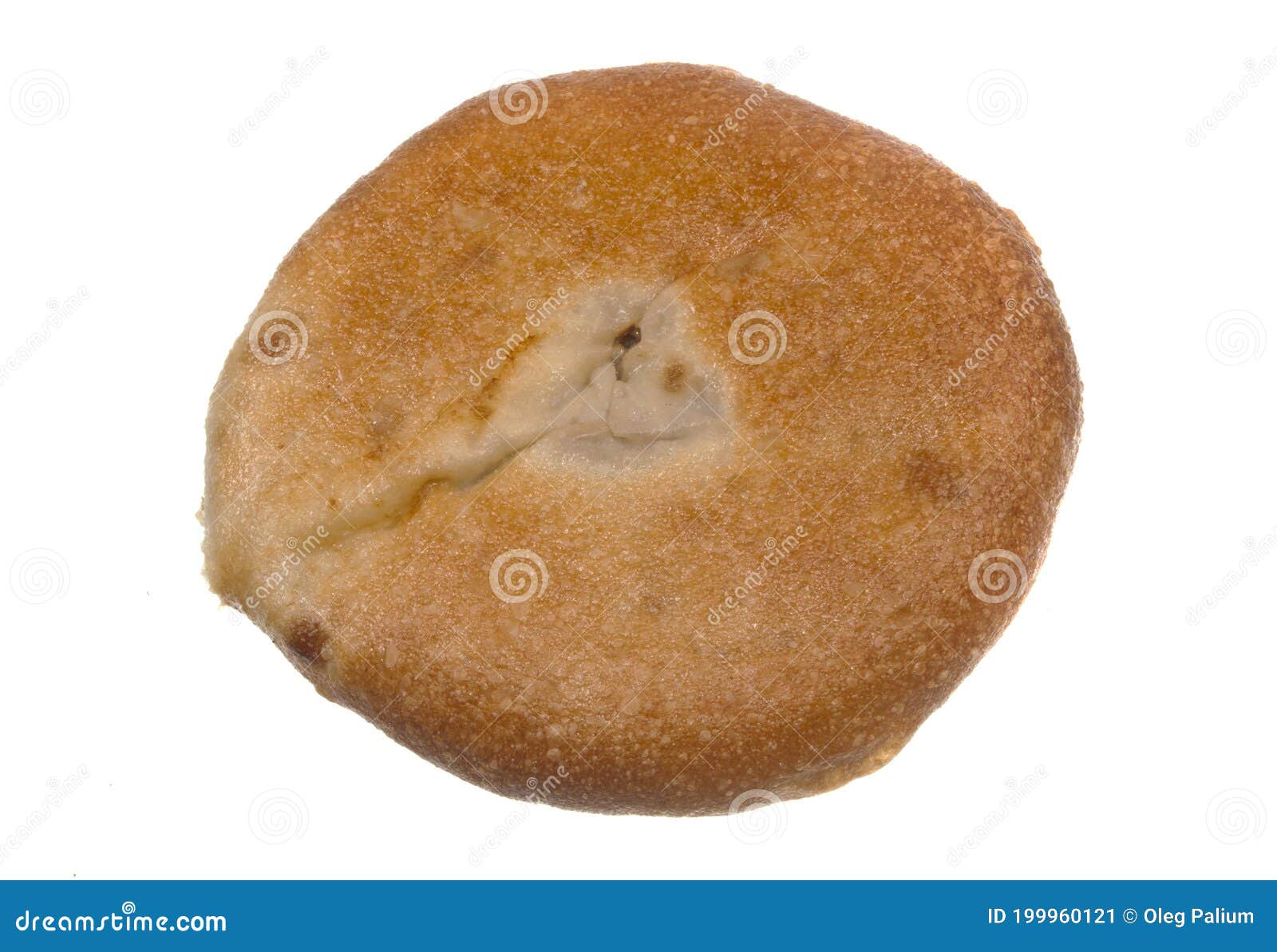 Patty Isolated on White Background Stock Image - Image of baked, meat ...
