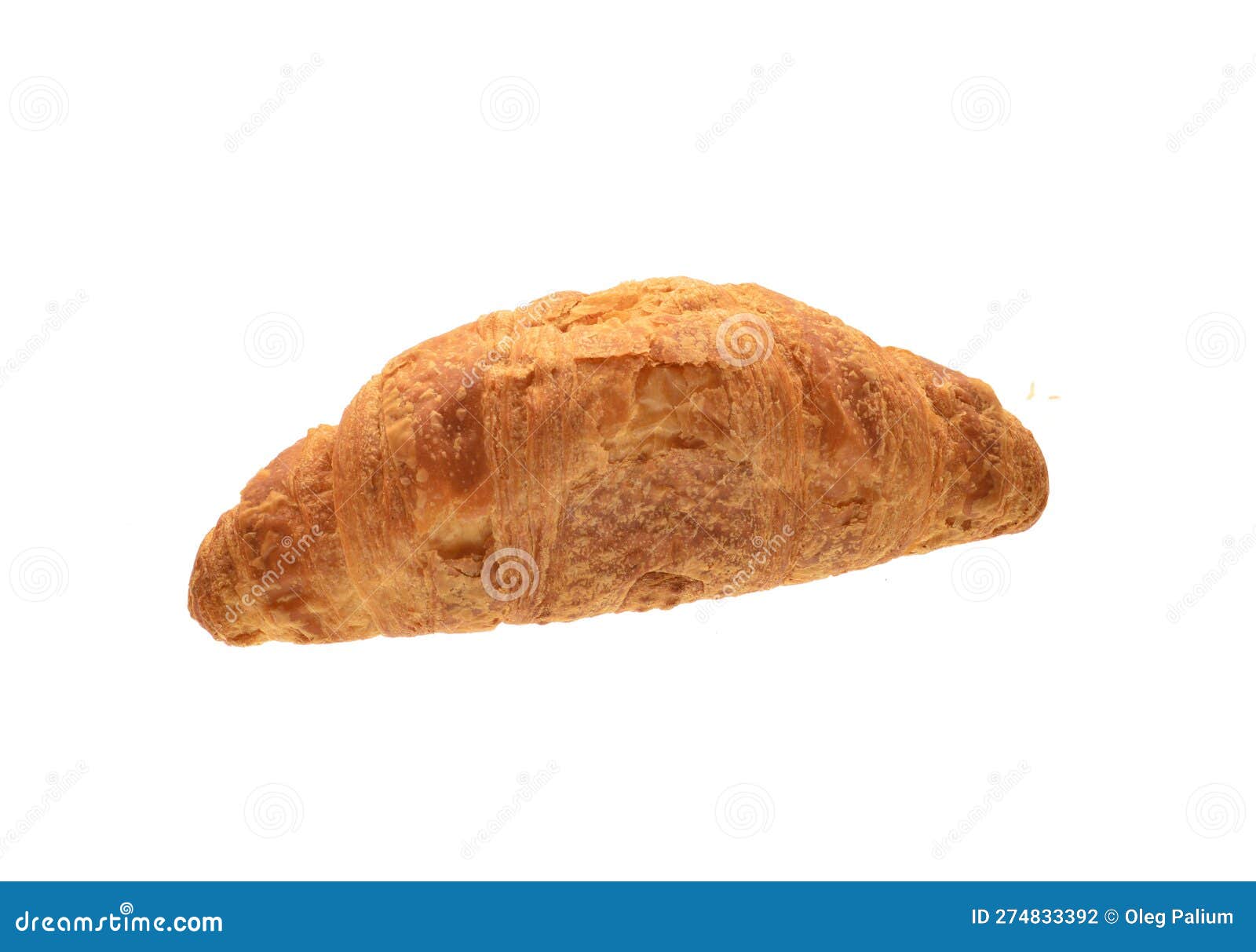 Patty Isolated on White Background Stock Photo - Image of hamburger ...