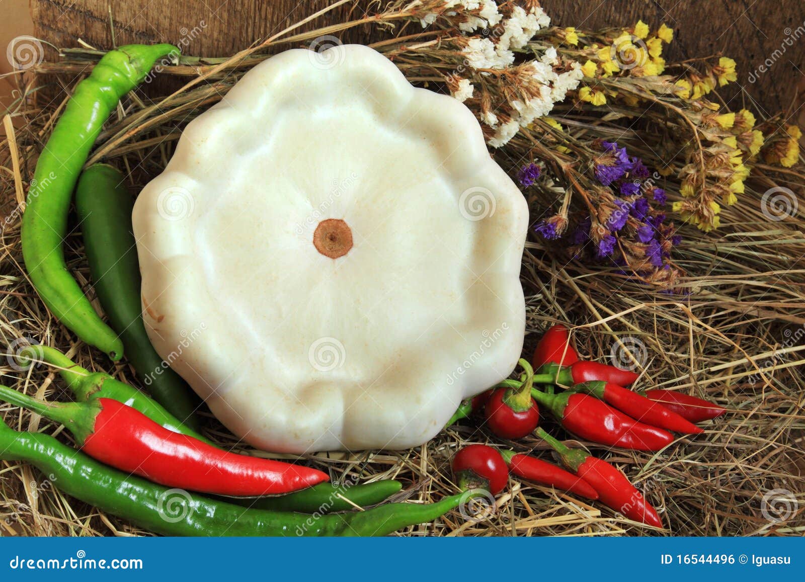 Pattypan Squash and Chili Peppers Stock Photo - Image of pepper, eating ...