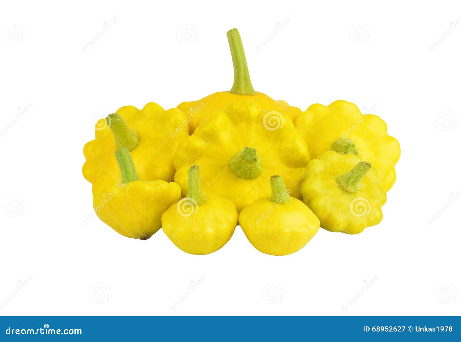 Pattypan Squash (Cucurbita Pepo Var. Patisson) Stock Image - Image of ...