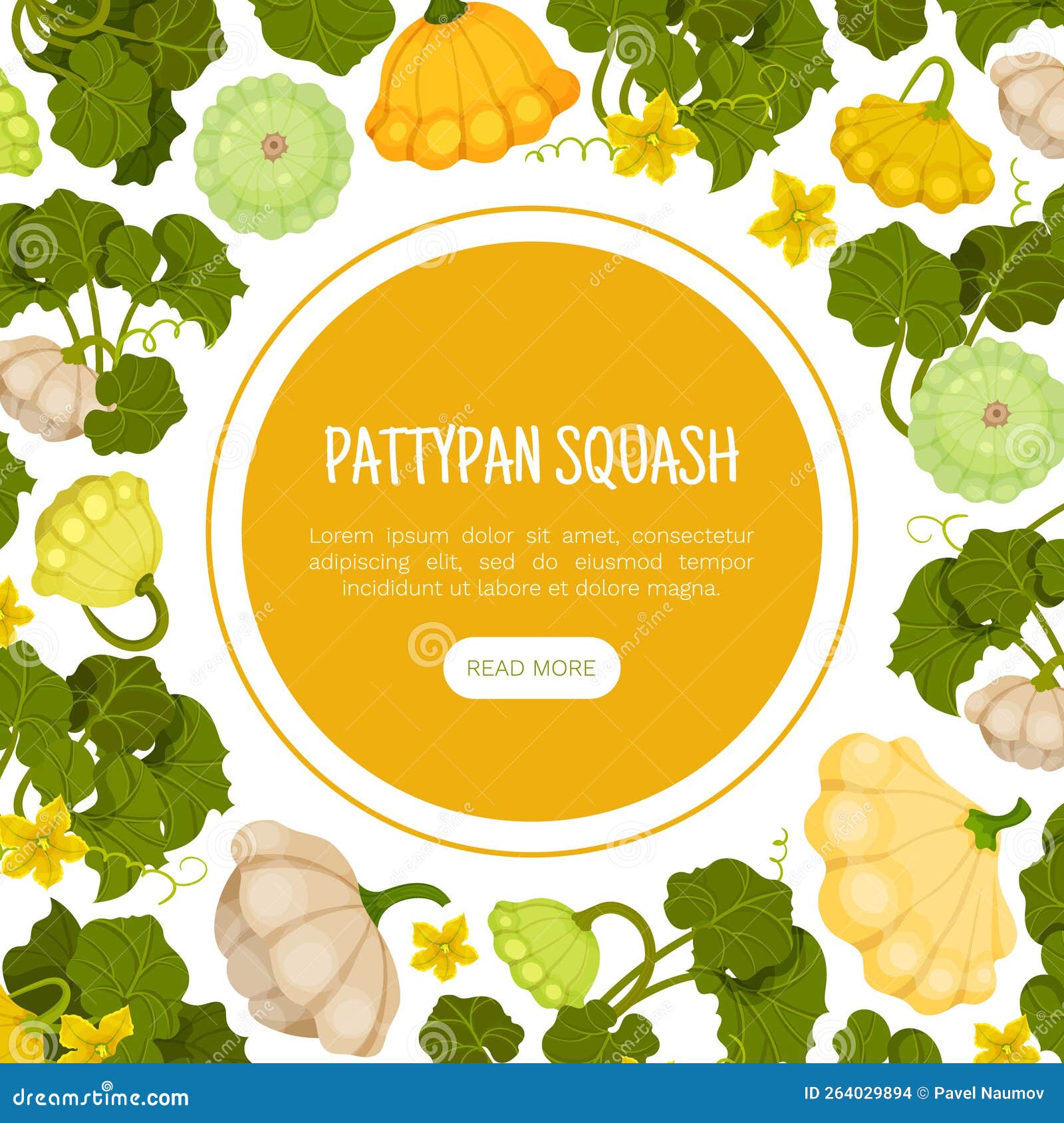 Pattypan Squash Design with Shallow Shape Vegetable with Scalloped ...