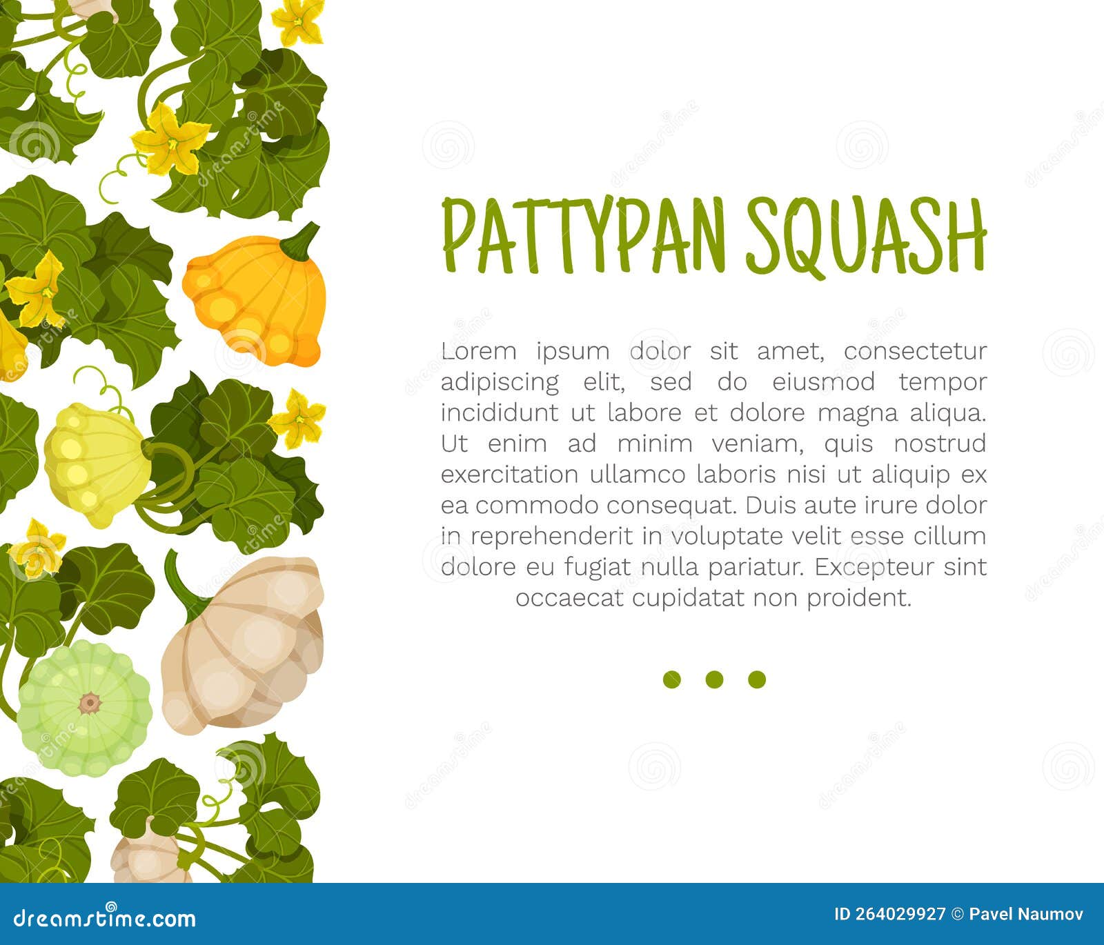 Pattypan Squash Design with Shallow Shape Vegetable with Scalloped ...