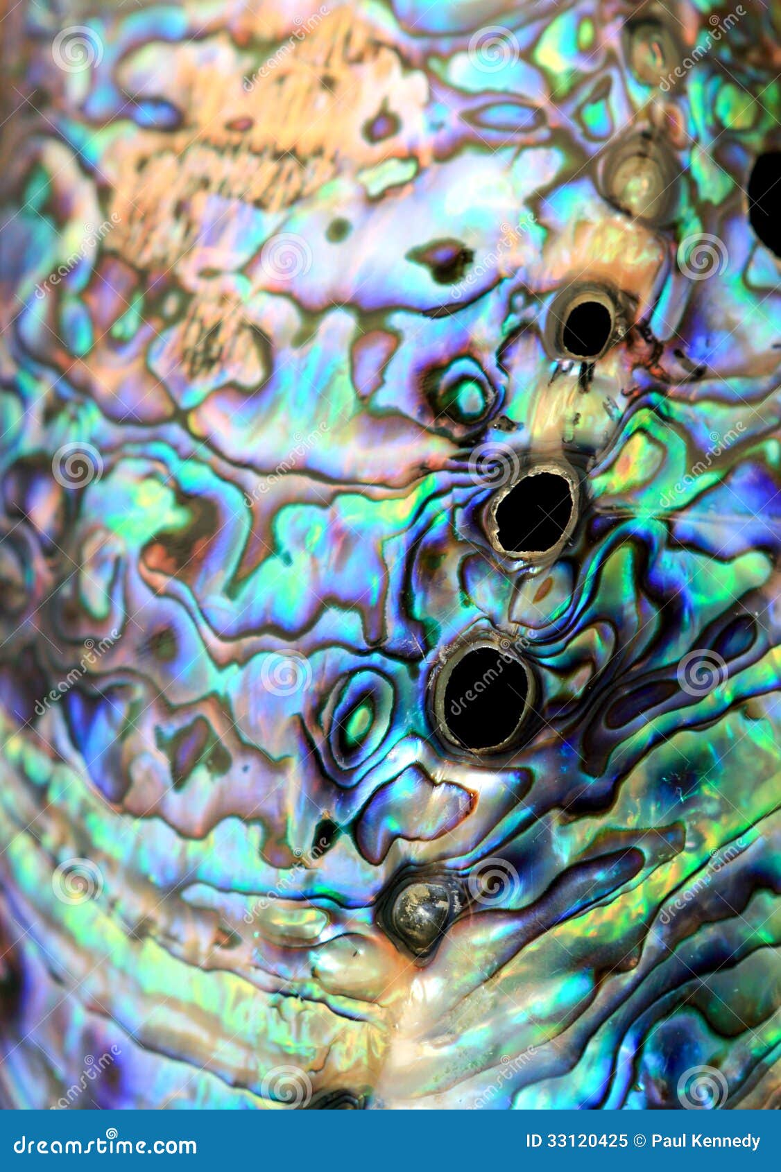 Paua Abalone Shell Mother-of-pearl Texture Pattern Stock Photography ...