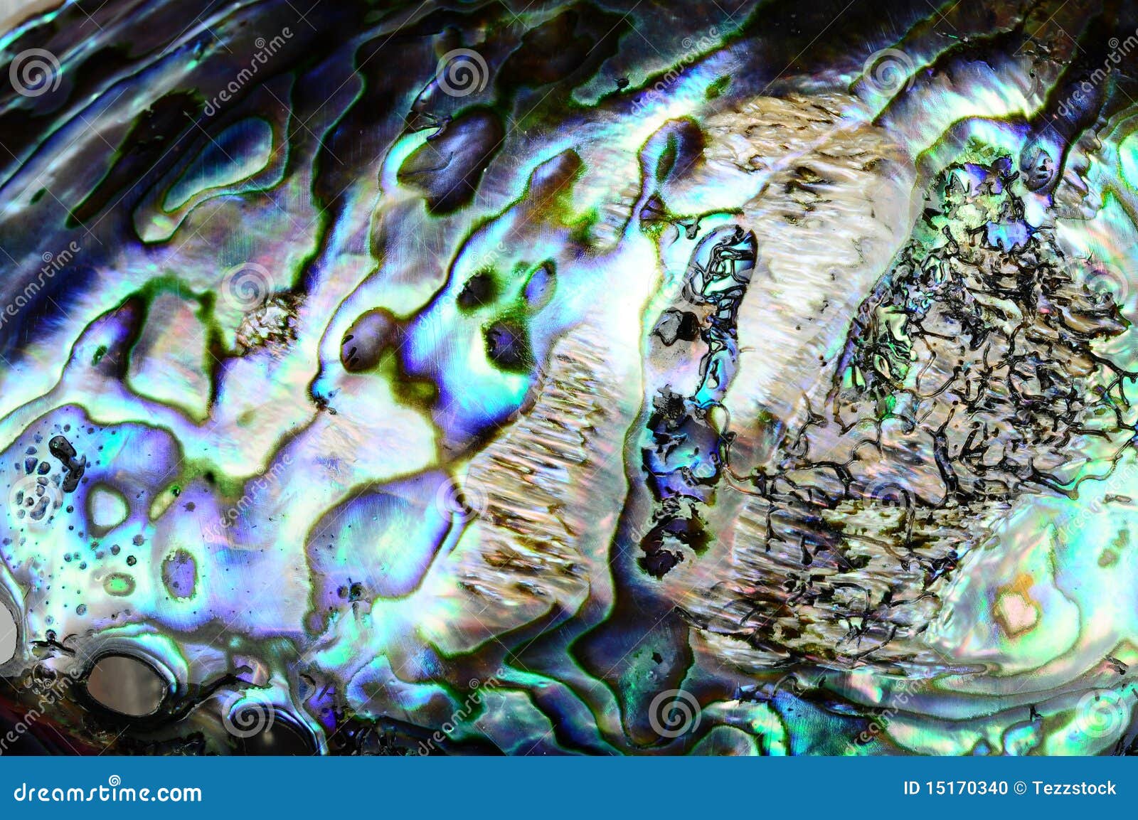 Paua shell background stock photo. Image of pearl, mother - 15170340