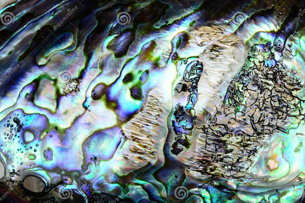 Paua shell background stock photo. Image of pearl, mother - 15170340