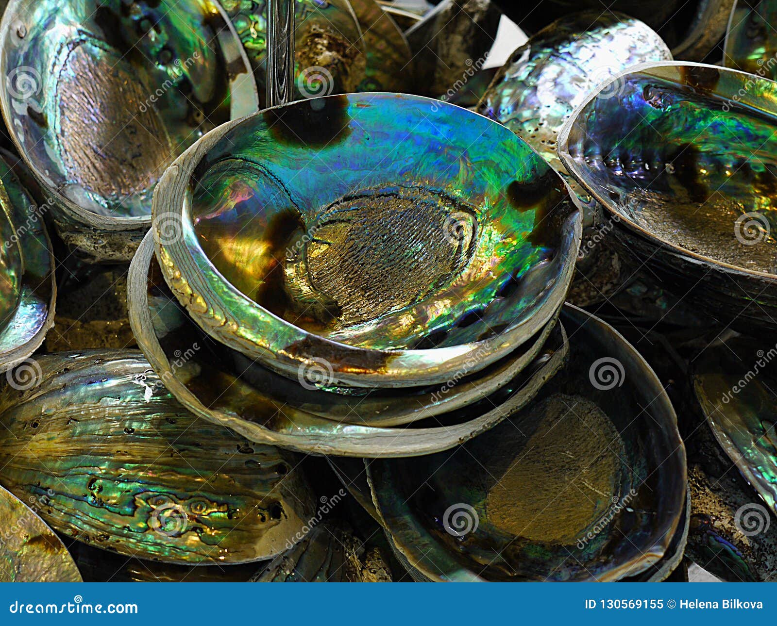 Paua Shells stock image. Image of luxurious, paua, natural - 130569155
