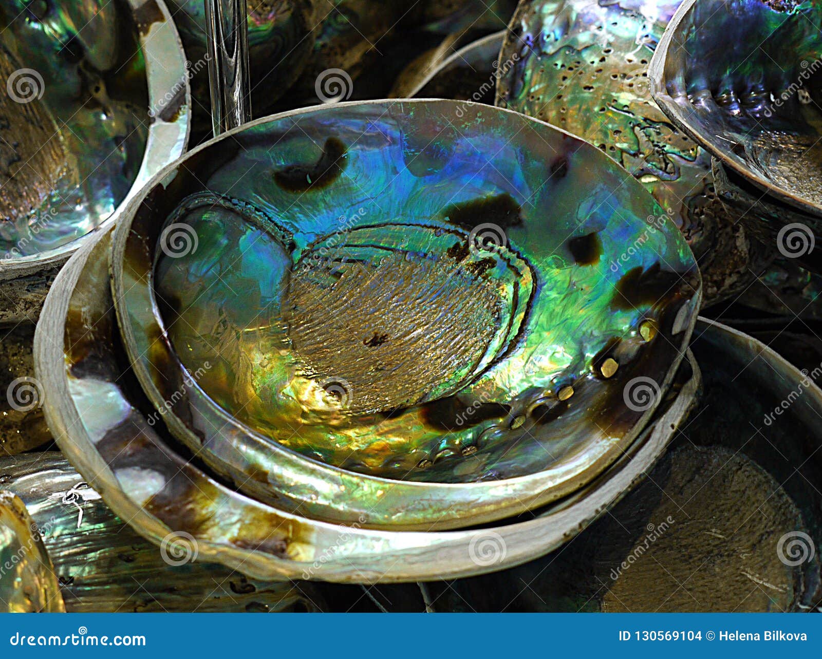 Paua Shells stock photo. Image of details, jewelry, shell - 130569104