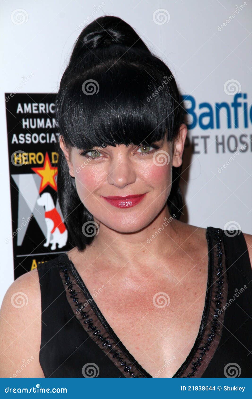 Pauley Perrette's Instagram, Twitter & Facebook on IDCrawl