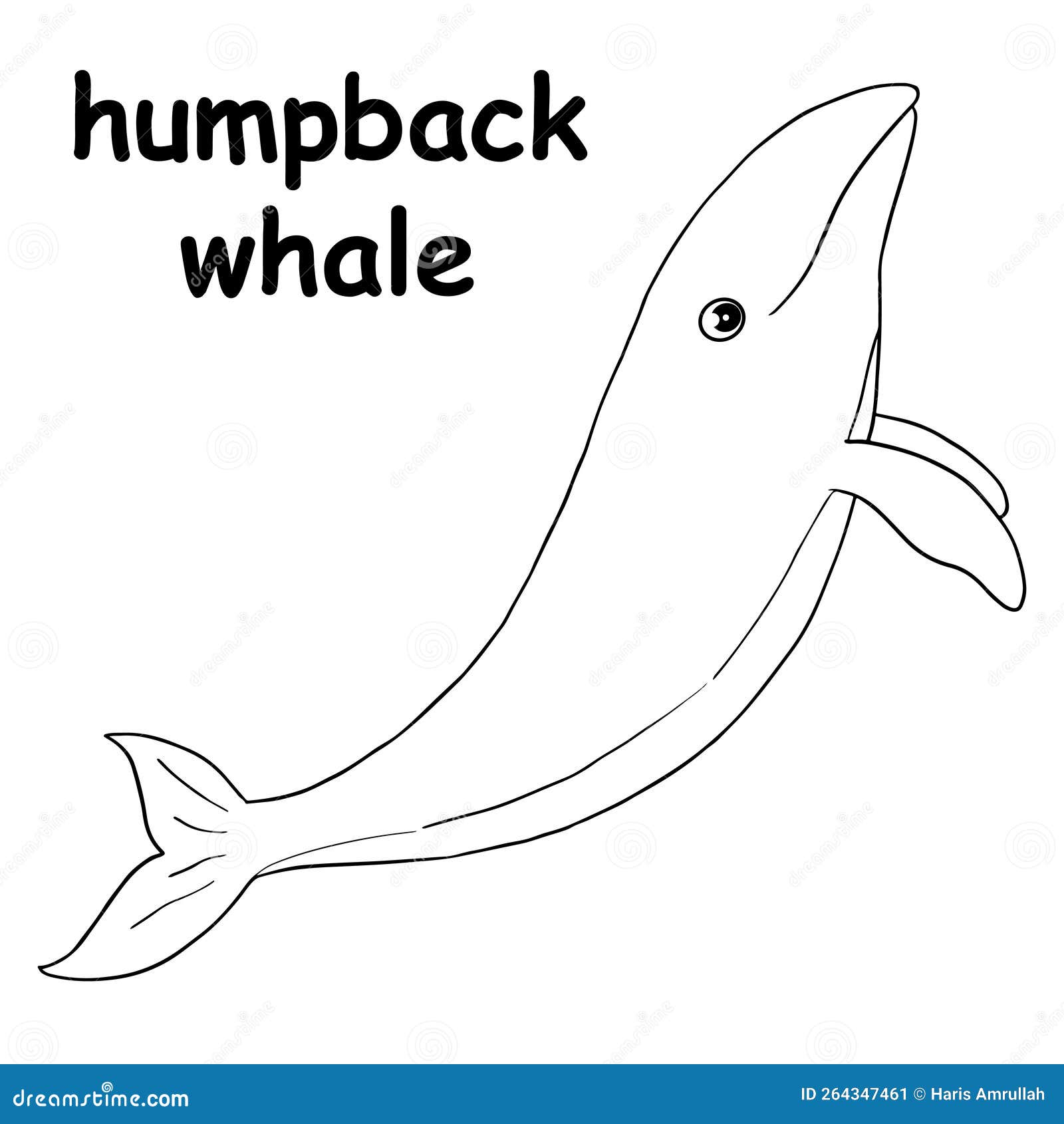 Kids Line Illustration Coloring Humpback Whale. Animal are Just Lines ...