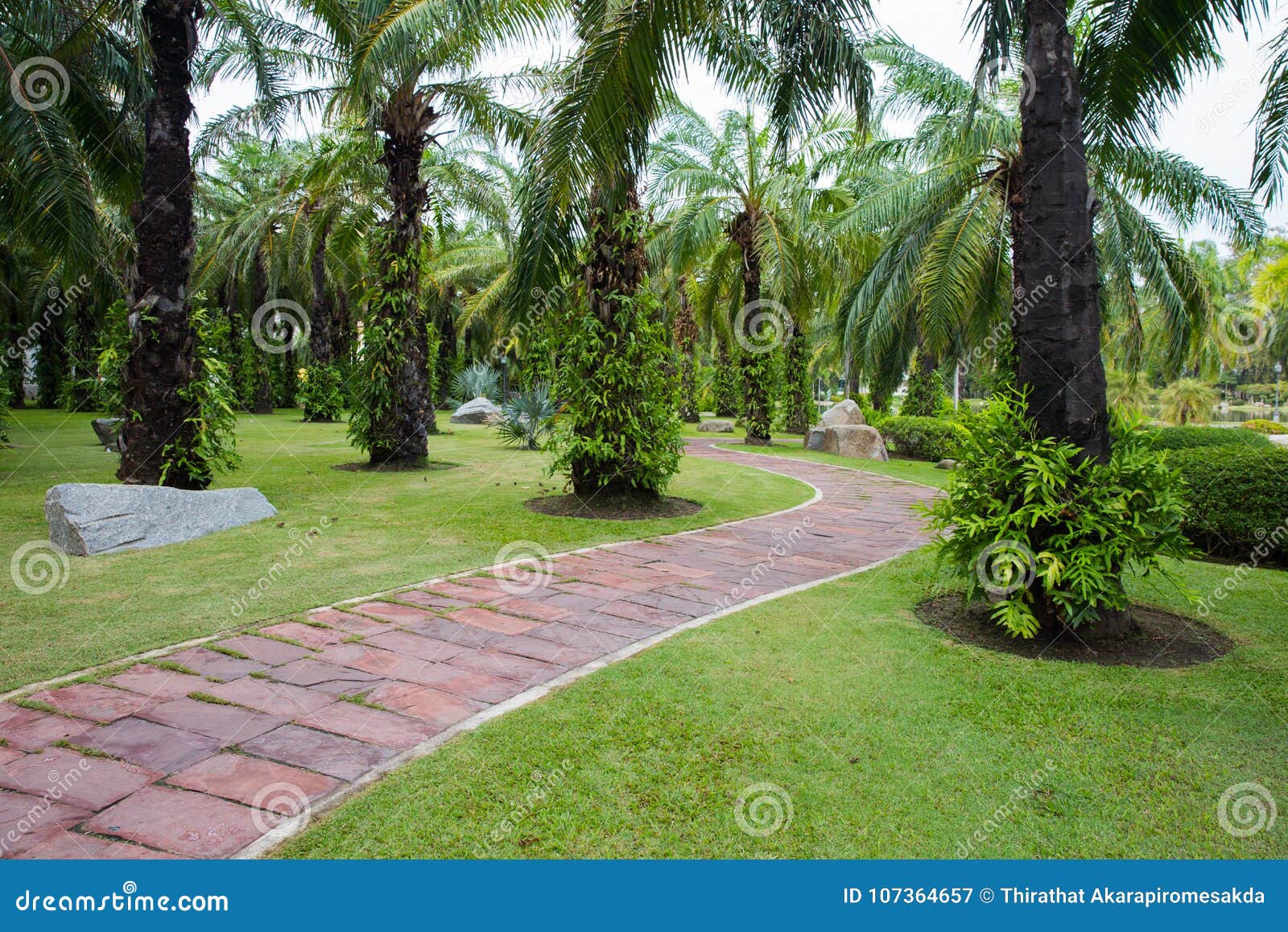 Pave Clay tiled walkway. stock image. Image of stone - 107364657