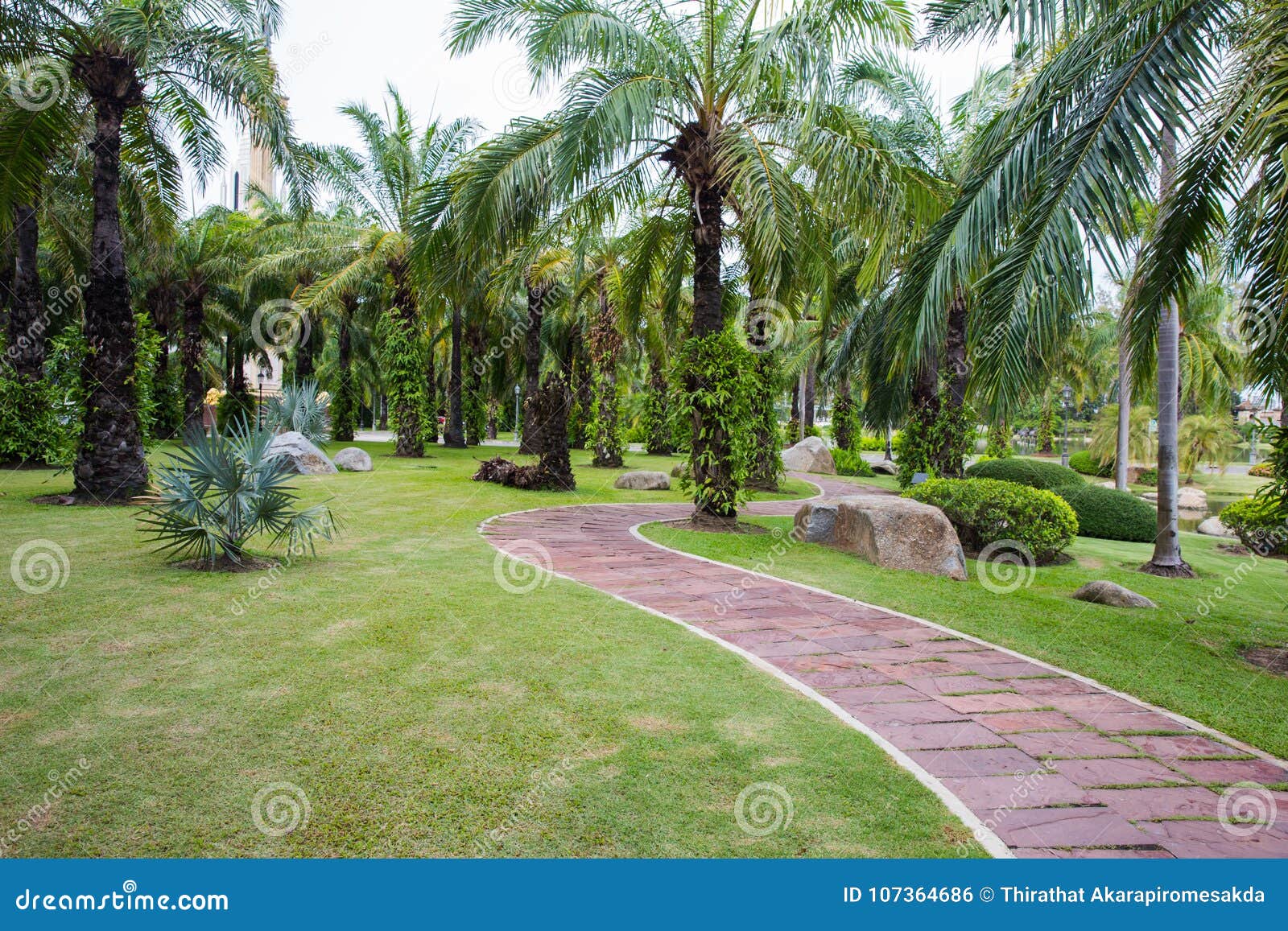 Pave Clay tiled walkway. stock photo. Image of stone - 107364686