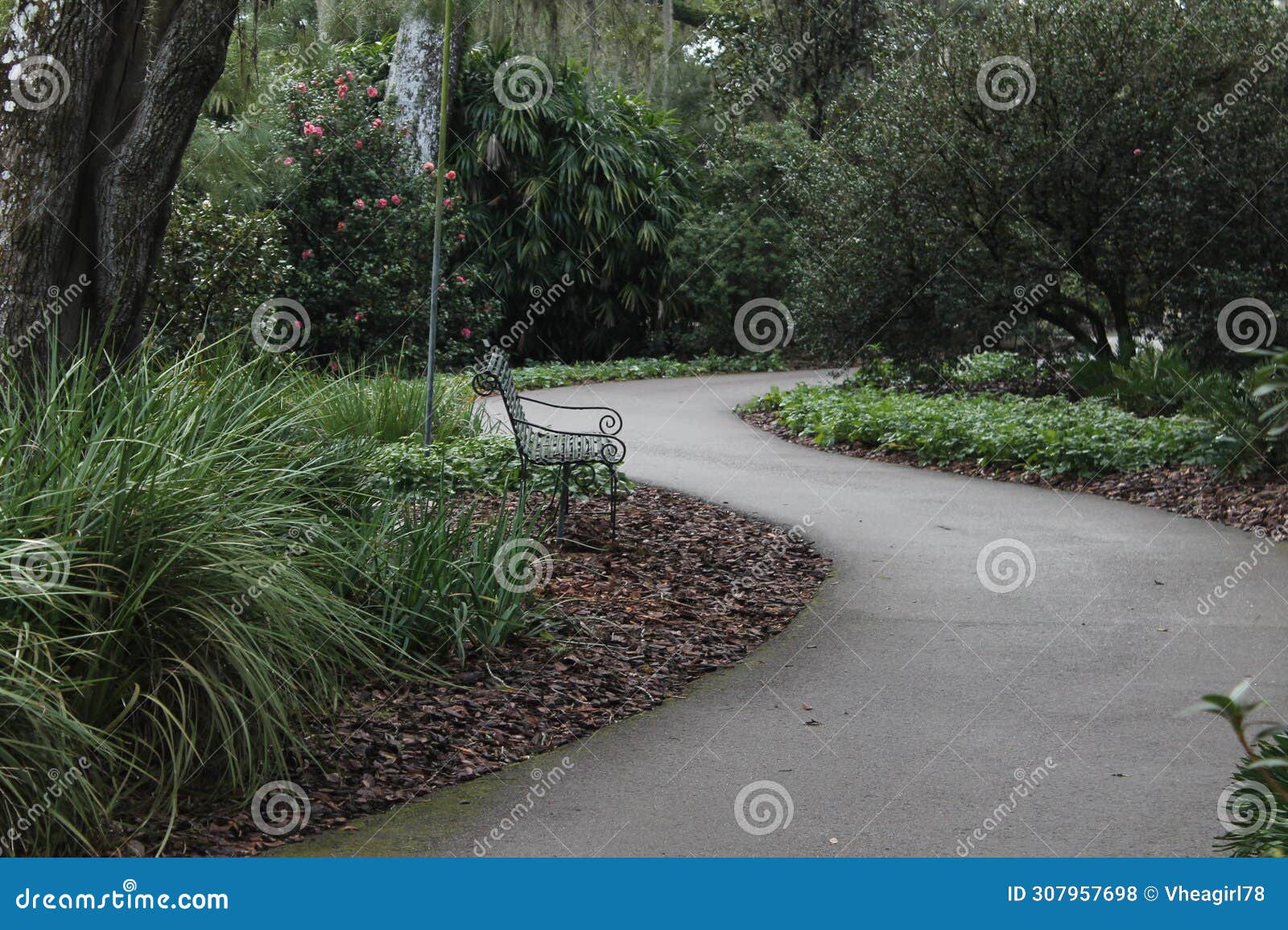 Pave Hiking Trail Under the Trees Stock Photo - Image of soil, holiday ...