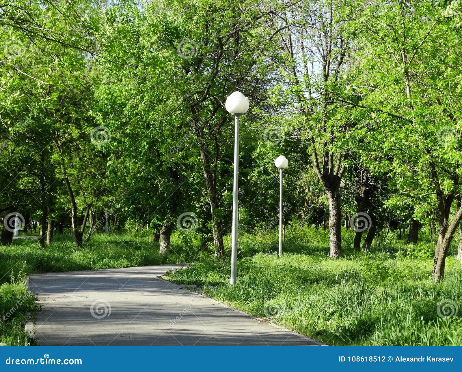 Bike path in the Park stock photo. Image of leaf, nature - 108618512