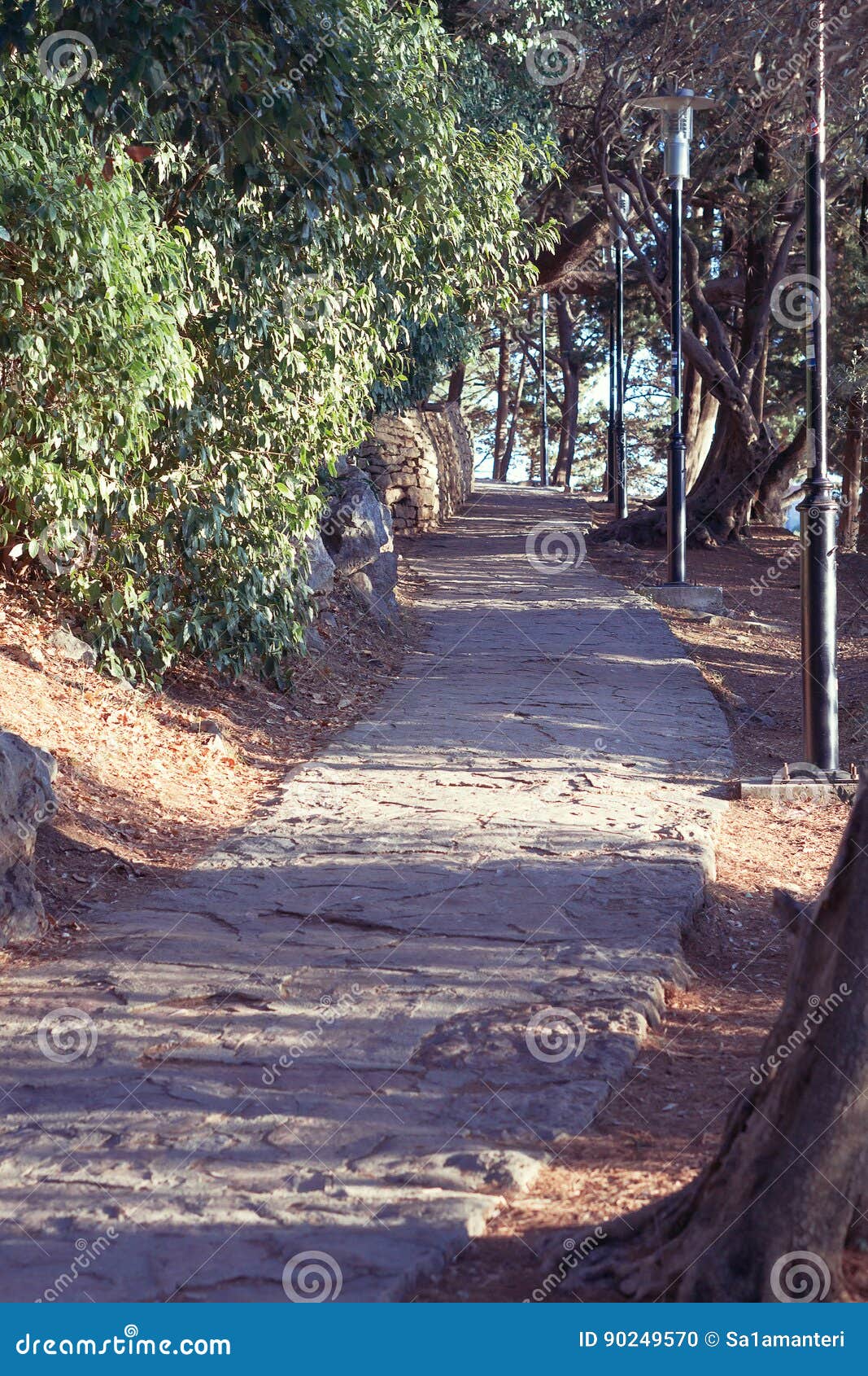 Paved Alley in the Summer Park Stock Photo - Image of nature, alley ...
