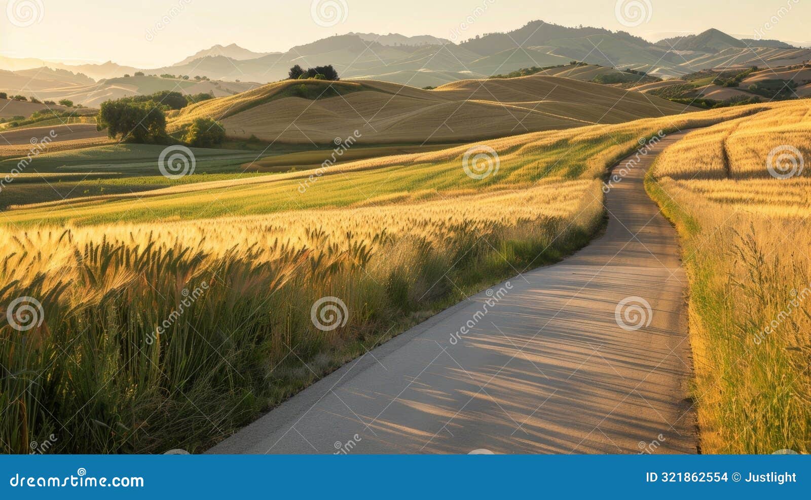 A Paved Bike Path Leading through Rolling Hills of Golden Wheat Fields ...
