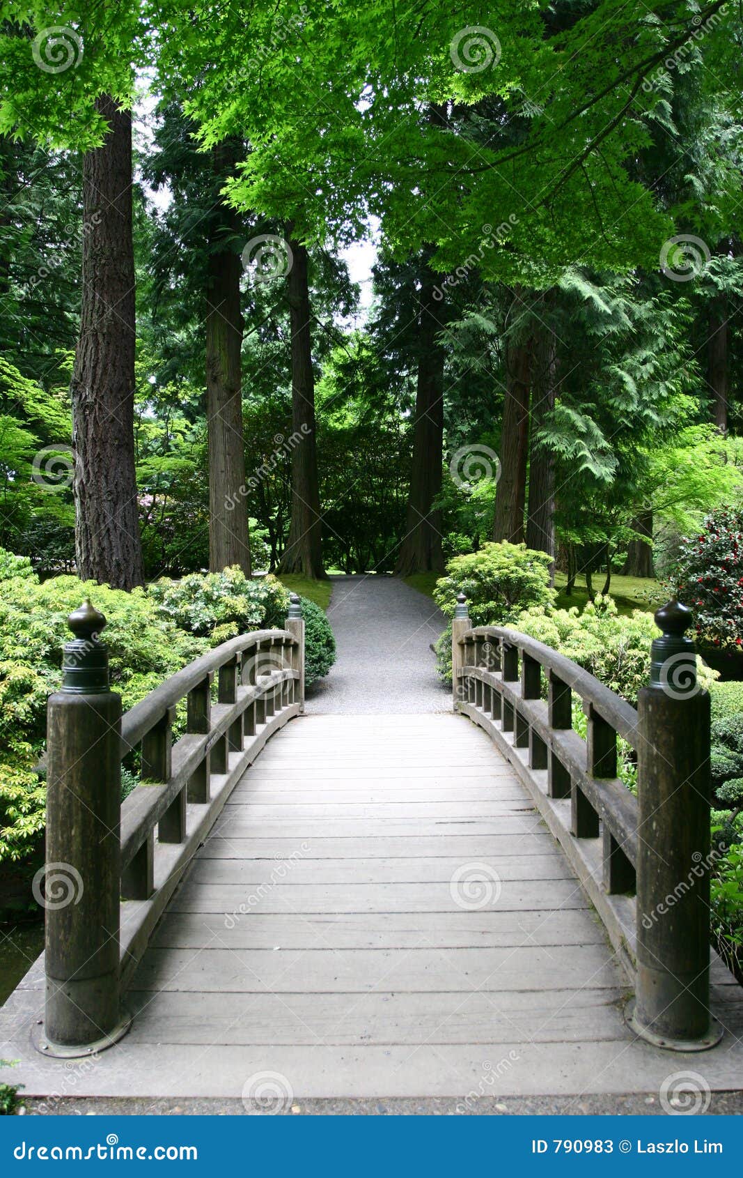 Paved bridge stock image. Image of green, rail, passageway - 790983