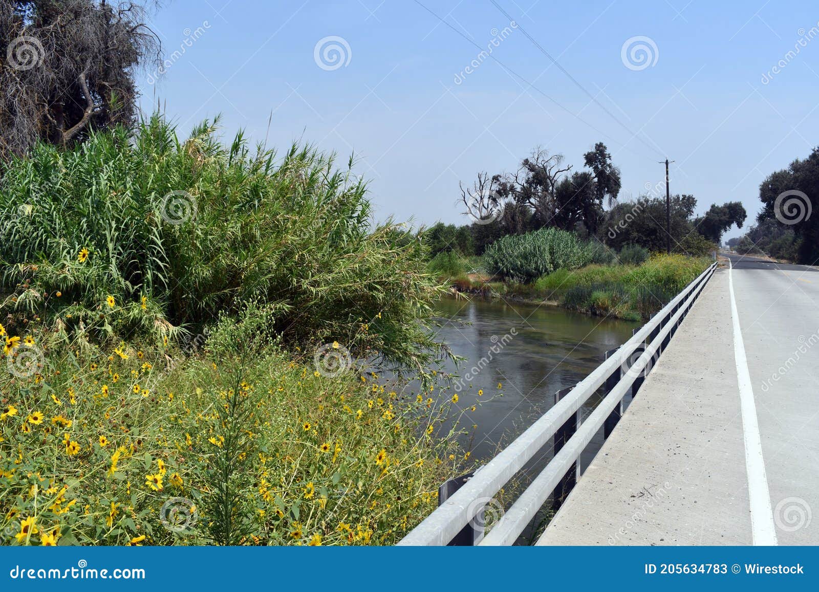 Paved Bridge Road Winding through a Flowing Stream of Water Stock Image ...